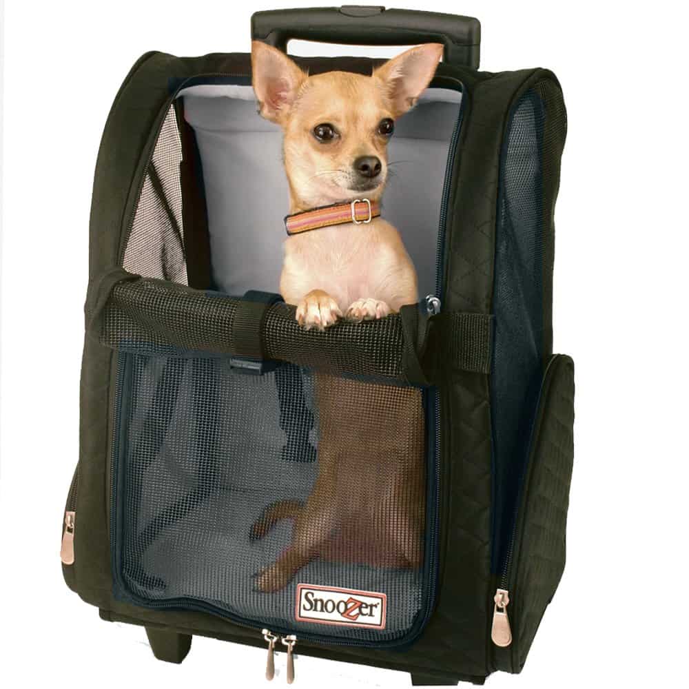 Traveling With Pets? These Are The Best Pet Carriers - VIP Pet Services