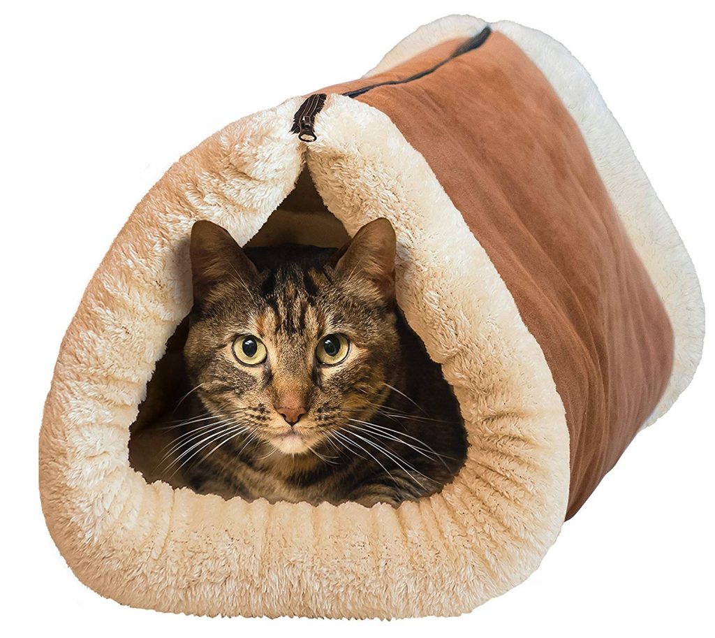 The Best Cat Bed For Your Little Feline Friend - VIP Pet Services