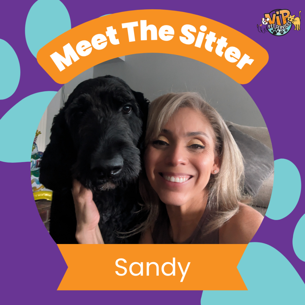 Sandy G - VIP Pet Services
